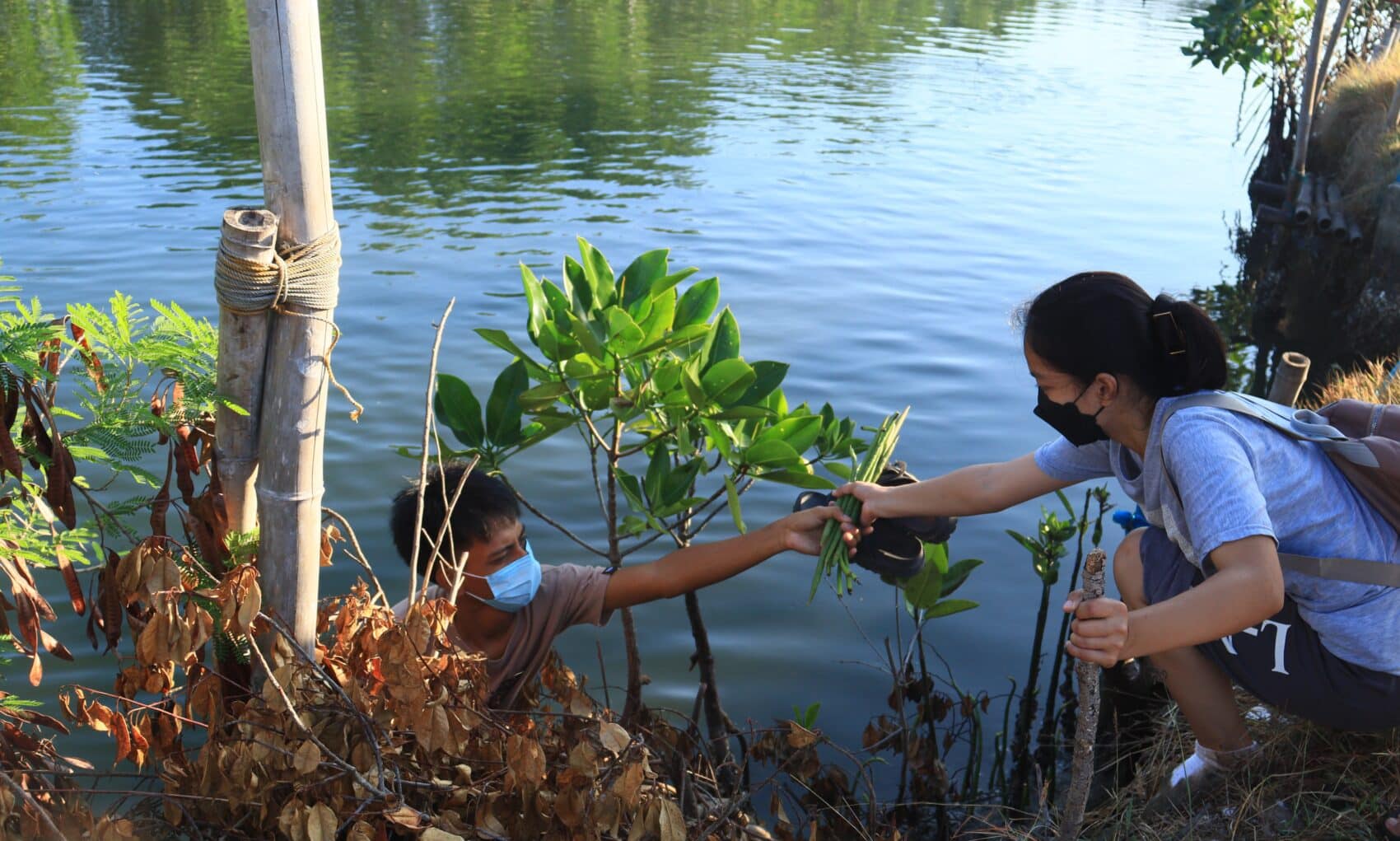How to embed Climate Change Education into your school - T4 Education